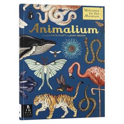 欢迎来到博物馆系列 动物博物馆 Animalium 青少年课外阅读科普读物 动物王国 精装大开本 Jenny Broom