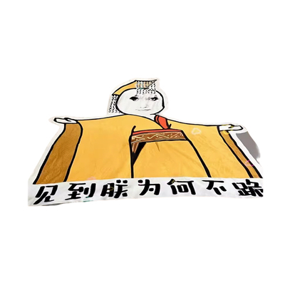 搞笑搞怪皇帝龙图毛毯空调被不规则毛绒睡毯学生宿舍午休毯子男女