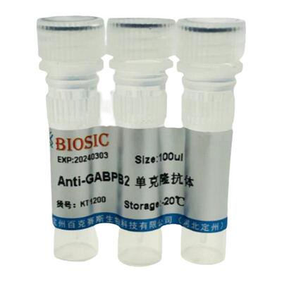 Anti-GABPB2 Monoclonal antibody实验用单克隆抗体 百克赛斯生物