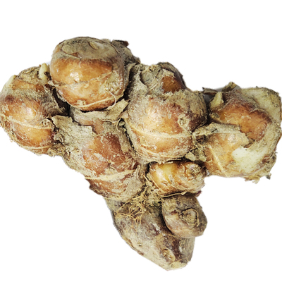 味香浓沙姜新鲜现挖产地发货