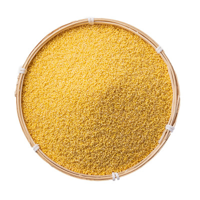 珍粒喜黄小米500g袋装优质小米云南农家自种月子米炖粥糙米杂粮