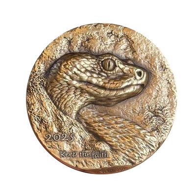 蛇年新品纪念币黄铜限量发行
