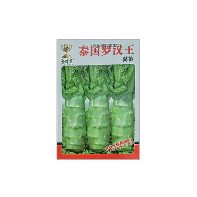 泰国罗汉王莴笋种籽圆叶粗壮莴苣鸡腿莴笋四季播耐热南方蔬菜种子