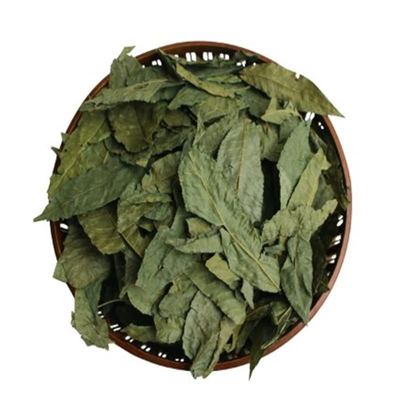 野生原叶无糖食用袋装古树青钱柳