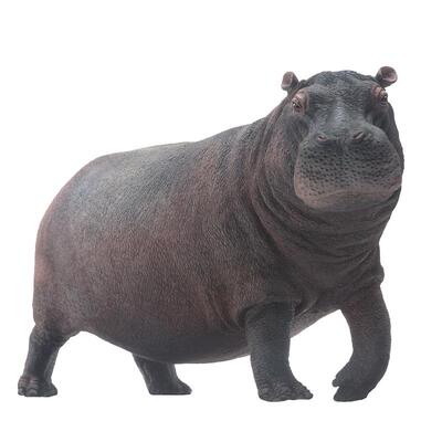 动物园成长陪伴模型河马墩奇PNSO