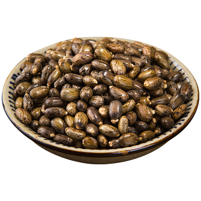 散装蓖麻籽种子中药材新货正品