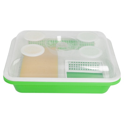 角蛙饲养盒饲养箱造景角蛙乌龟蝾螈缸两栖专用带晒台生化棉保湿