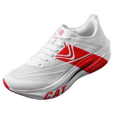 【冠军同款】音速猫上瘾三周年