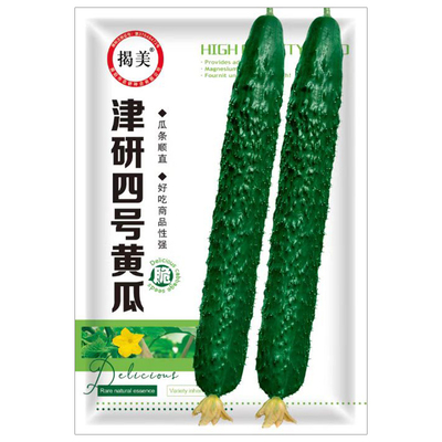 揭美四季高产津研四号黄瓜种子