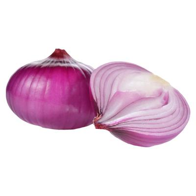 水果洋葱苗紫皮圆葱四季