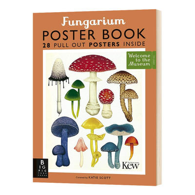 英文原版 Fungarium Post Book 欢迎来到博物馆系列之菌物海报书 英文版儿童外文书