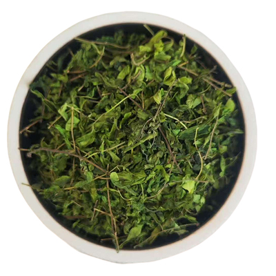 野生酸枣芽茶农户自采东方睡叶