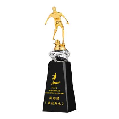 蓝月体育球类比赛颁奖