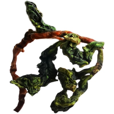 安溪铁观音茶叶毛茶鲜茶冰茶湿茶