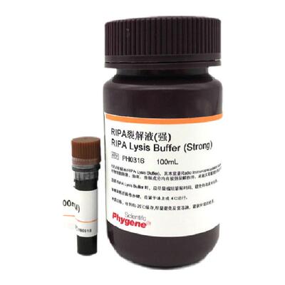 RIPA裂解液蛋白提取实验试剂