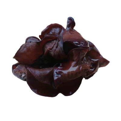 广西贺州昭平特产大山正宗白背木耳500g鲜爽脆口舌尖美食散装干货