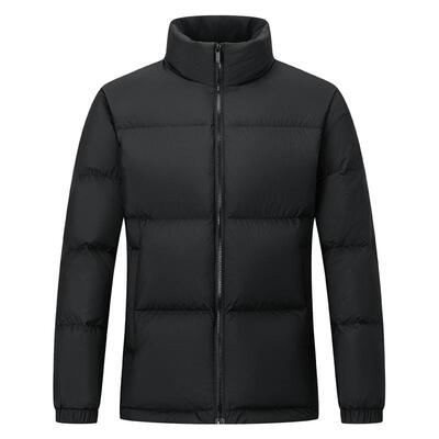 BMWSTUDIO宝马男装立领羽绒夹克