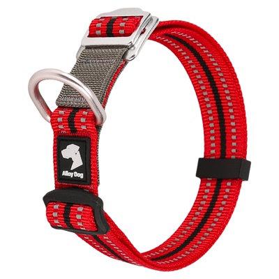 AlloyDog防挣脱防咬狗狗专用项圈