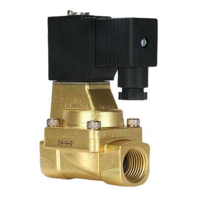 亚德客超高压电磁阀2WX050-152WX05015B水阀放2WX05015Adc24v