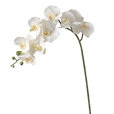 手感蝴蝶兰仿真花客厅电视柜插花