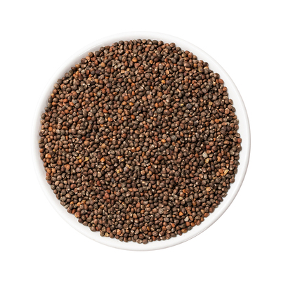 中药材紫苏子当季新货