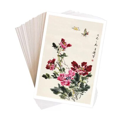 王雪涛牡丹临摹卡高清32张