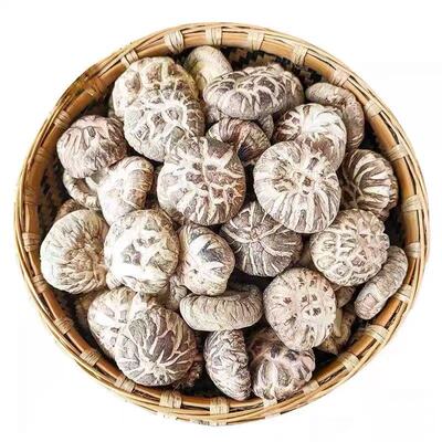 【随州特产】随州花菇茶花菇新鲜农家优质干货无根肉厚花菇煲汤