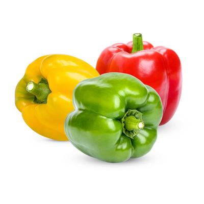 农科院辣椒种子朝天椒红黄甜椒二荆条线椒青椒柿子椒易种蔬菜籽孑