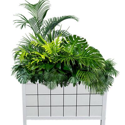 阳台种菜神器楼顶专用种植大花箱