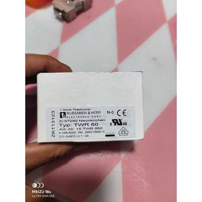 德国RubsamenHerr温度控制器TWR60