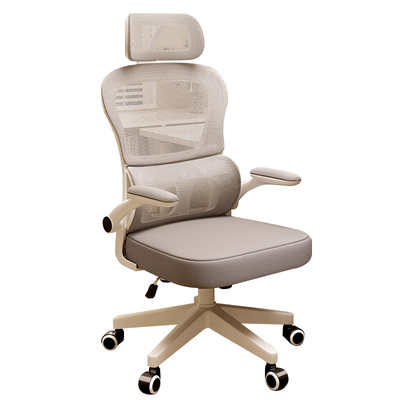 人体工学椅电脑椅家用护腰办公座椅学习椅子舒服久坐宿舍电竞椅子