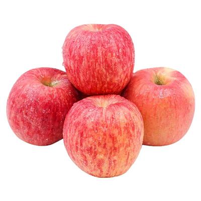 山东正宗烟台红富士苹果水果新鲜当季整箱脆甜时令一级果包邮