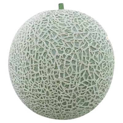 都蜜101甜瓜种子圆形网纹绿肉