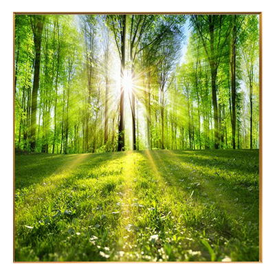 绿色小清新大树装饰画