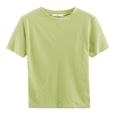 sly丝绒短款修身复古简约短袖T恤