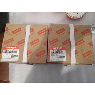 YANMAR N21