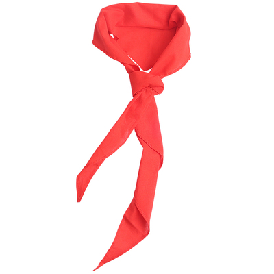 晨光红领巾小学生通用