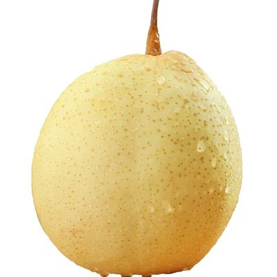 正宗河北鸭梨新鲜水果当季整箱梨子新鲜10斤赵县鸭梨雪梨现摘现发