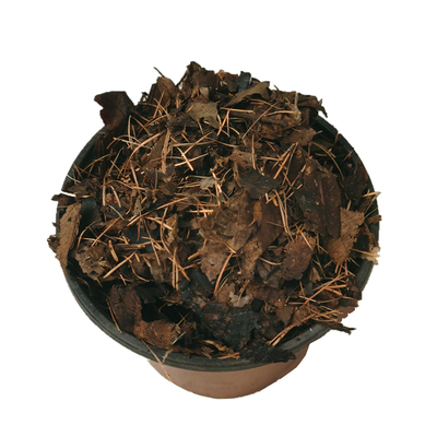 君子兰专用松针腐叶土自家用固体