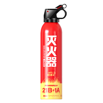 火焰战士新国标干粉车用灭火器