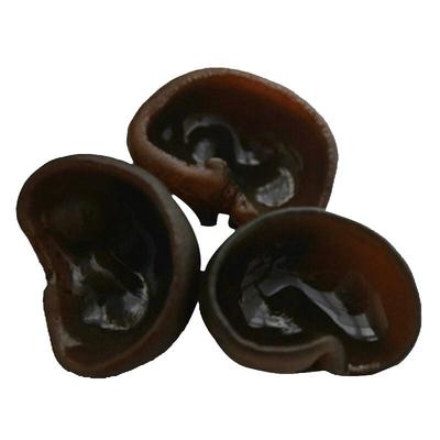 小碗耳产地直销250克肉厚龙江