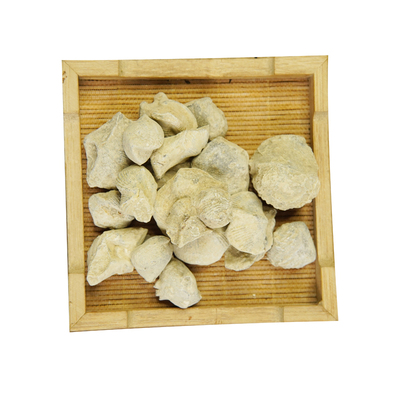 石燕中药饮片药典标准