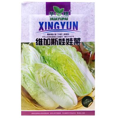 华煜蔬菜娃娃菜种子庭院生长快