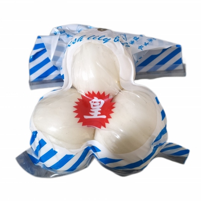 兰州鲜百合宝兰聚缘顺丰大三头皇