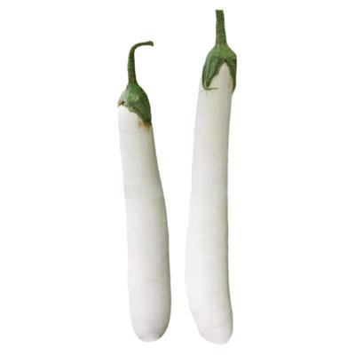 甜糯白玉长茄子秧苗带土球绿长茄紫黑长茄线茄竹丝茄种子四季盆栽