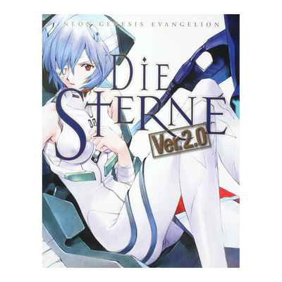 新世纪福音战士画集DIESTERNE