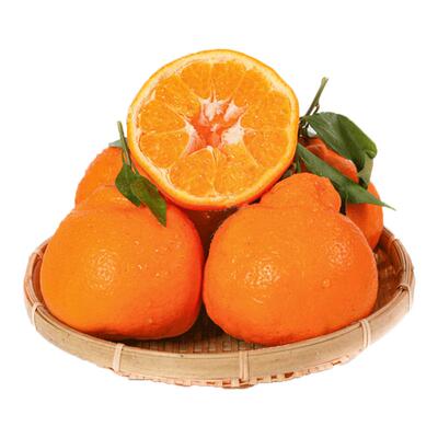 亏本尝鲜！春见耙耙柑不甜包赔！