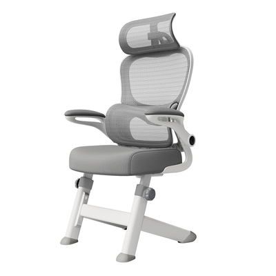 习格人体工学椅可升降碳钢椅脚