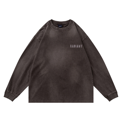 DGZZ日系复古270克重磅纯棉喷马骝长袖T恤宽松休闲百搭圆领上衣男