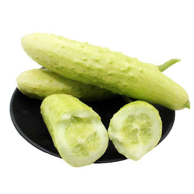 奶油水果黄瓜种子四季阳台盆栽